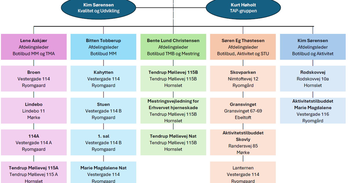 Organsiationsplan for SyBA