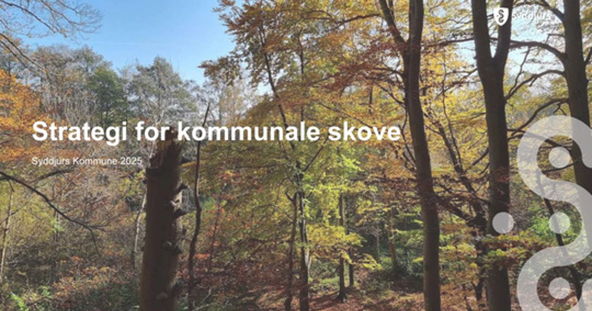 Ny strategi sætter retning for kommunens skove – Natur, biodiversitet ...
